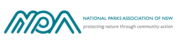NPA_logo_horizontal_Transparent_Background_large_600x150 – National ...