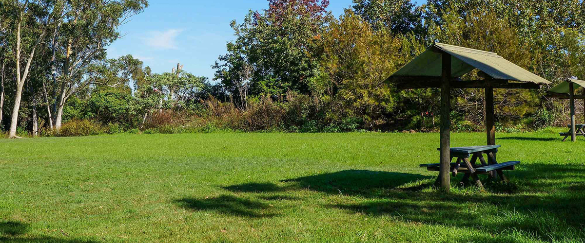 Tunks Hill Picnic Area photo National Parks and Wildlife – National ...