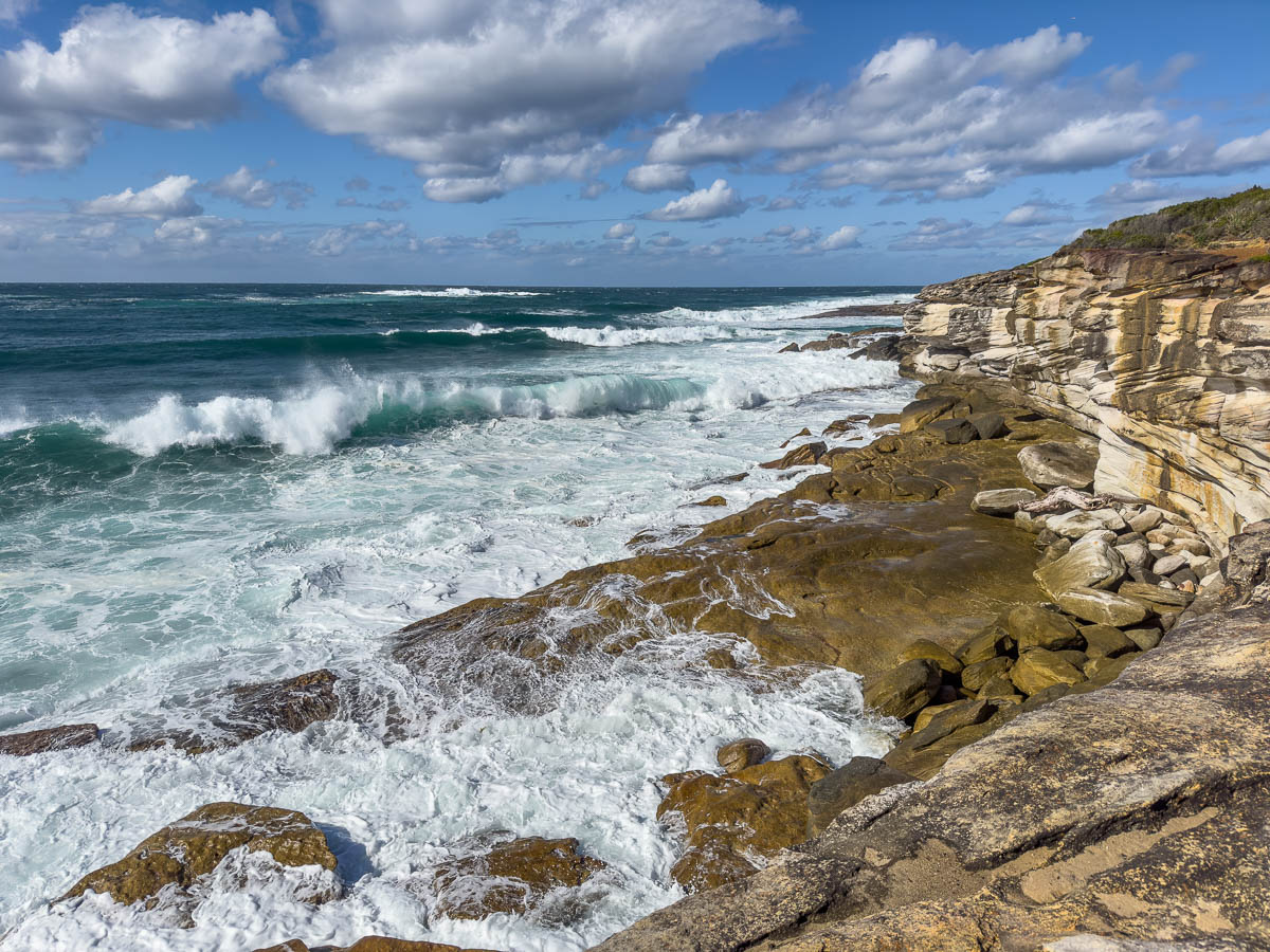 Trip Report: Jibbon Head – led by Brian Everingham – 9 May 2023 ...